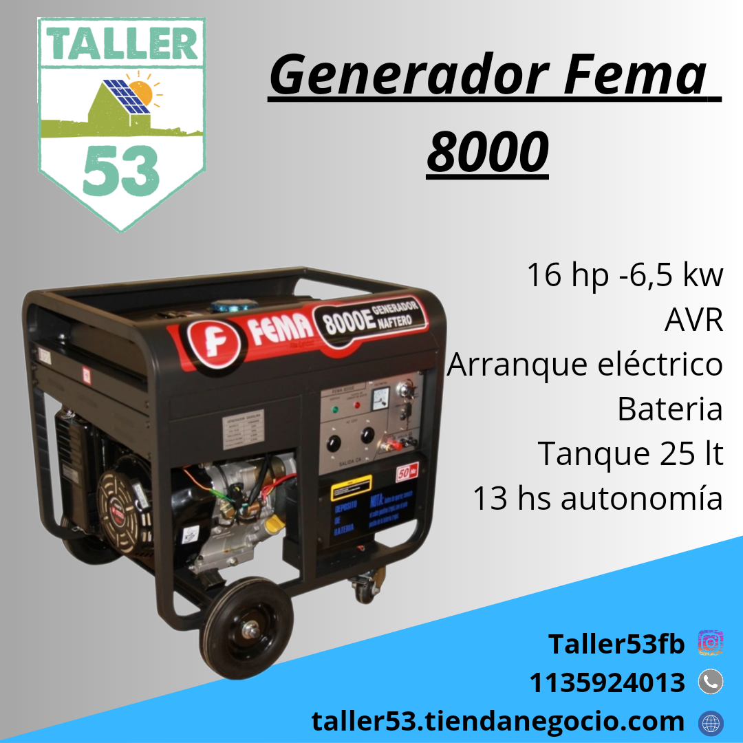 Generador Fema | Taller53